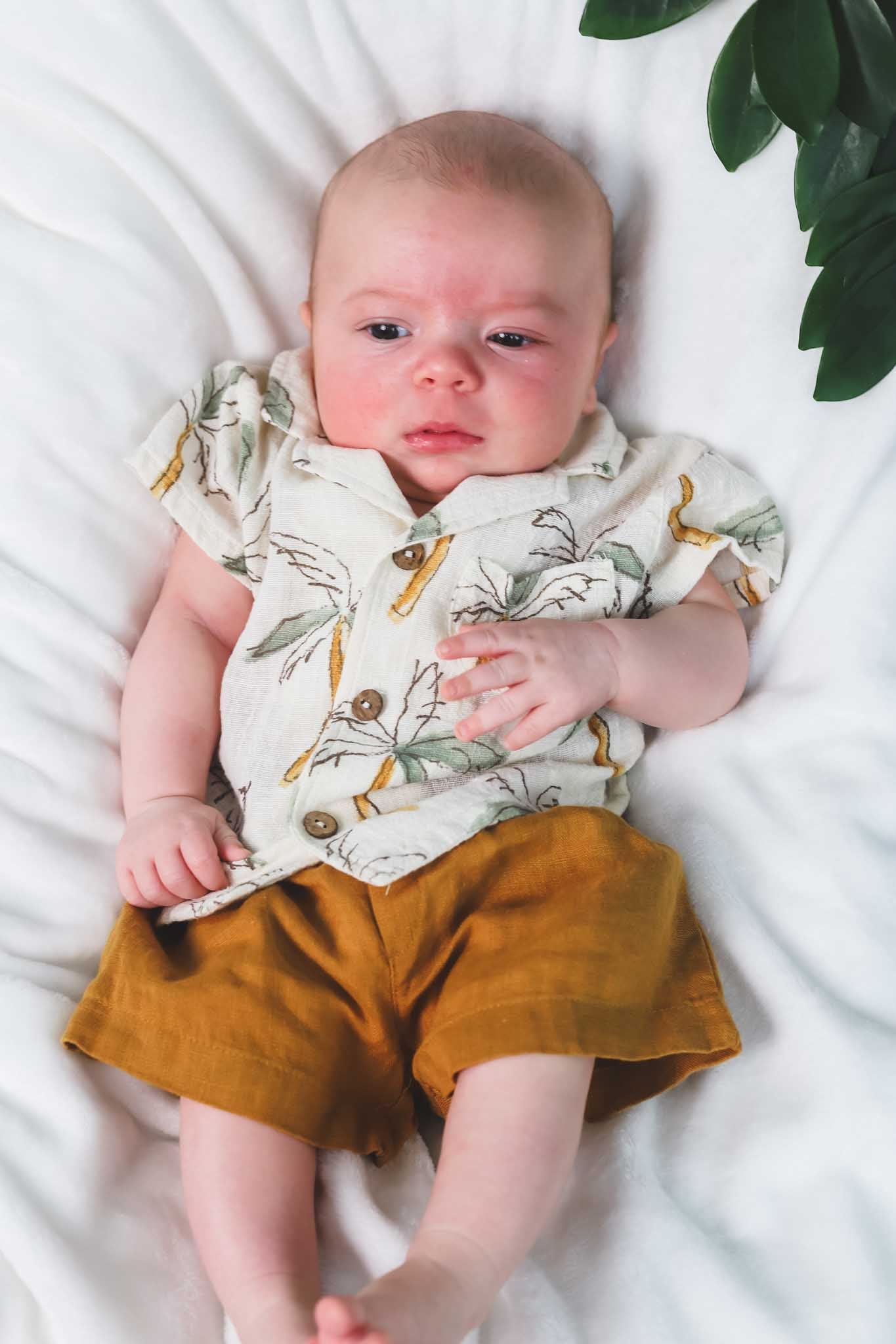 Palm Tree Button Up Polo (Baby Boy) – Bowfish Kids