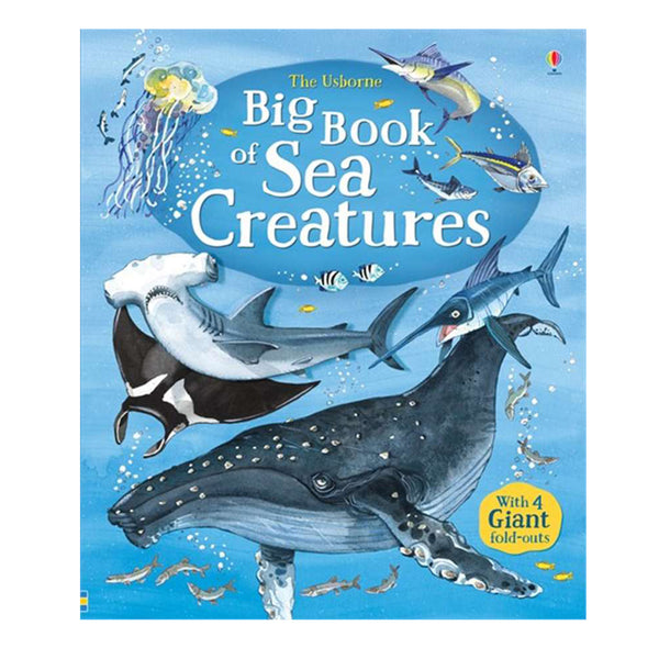 Big Book of Sea Creatures Book (4+ Years) – Bowfish Kids
